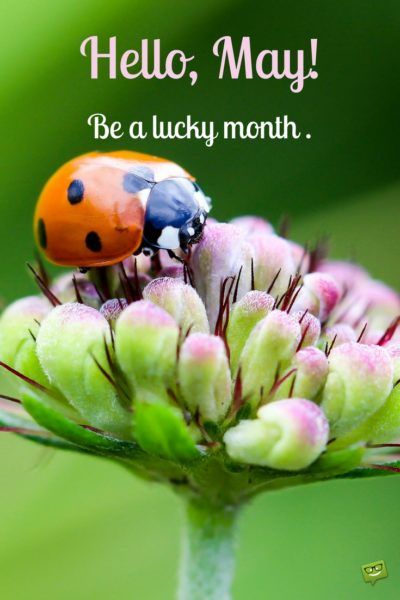 Last Day of April, First Day of May! | mylifewerksinsurance